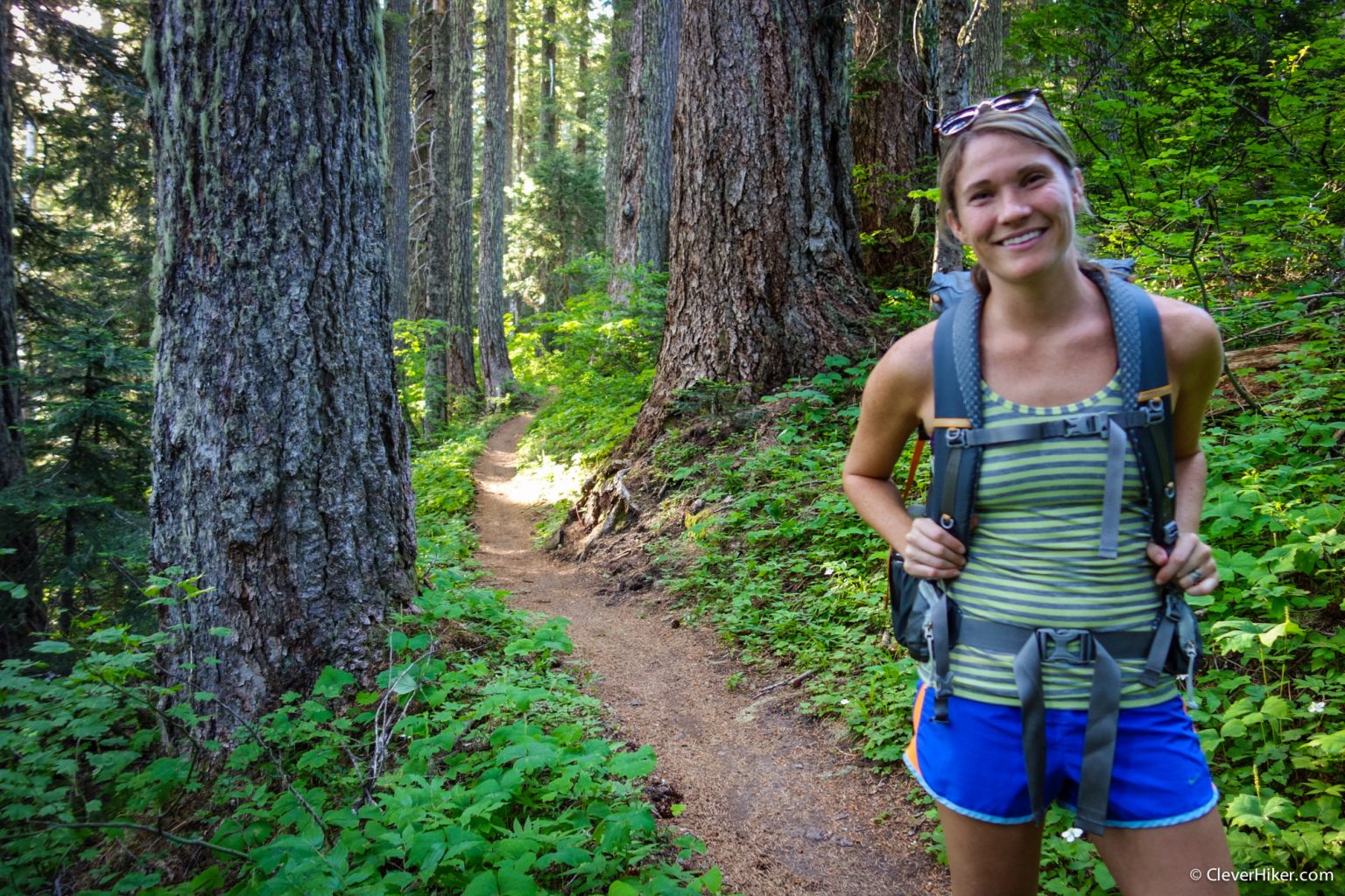 Trip Report: Mount St. Helens Loop – Ape Canyon to Smith Creek ...