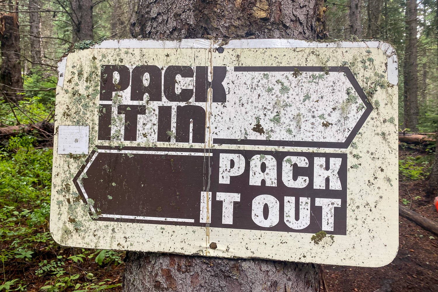 Timberline Trail Backpacking Guide (Mount Hood) | CleverHiker