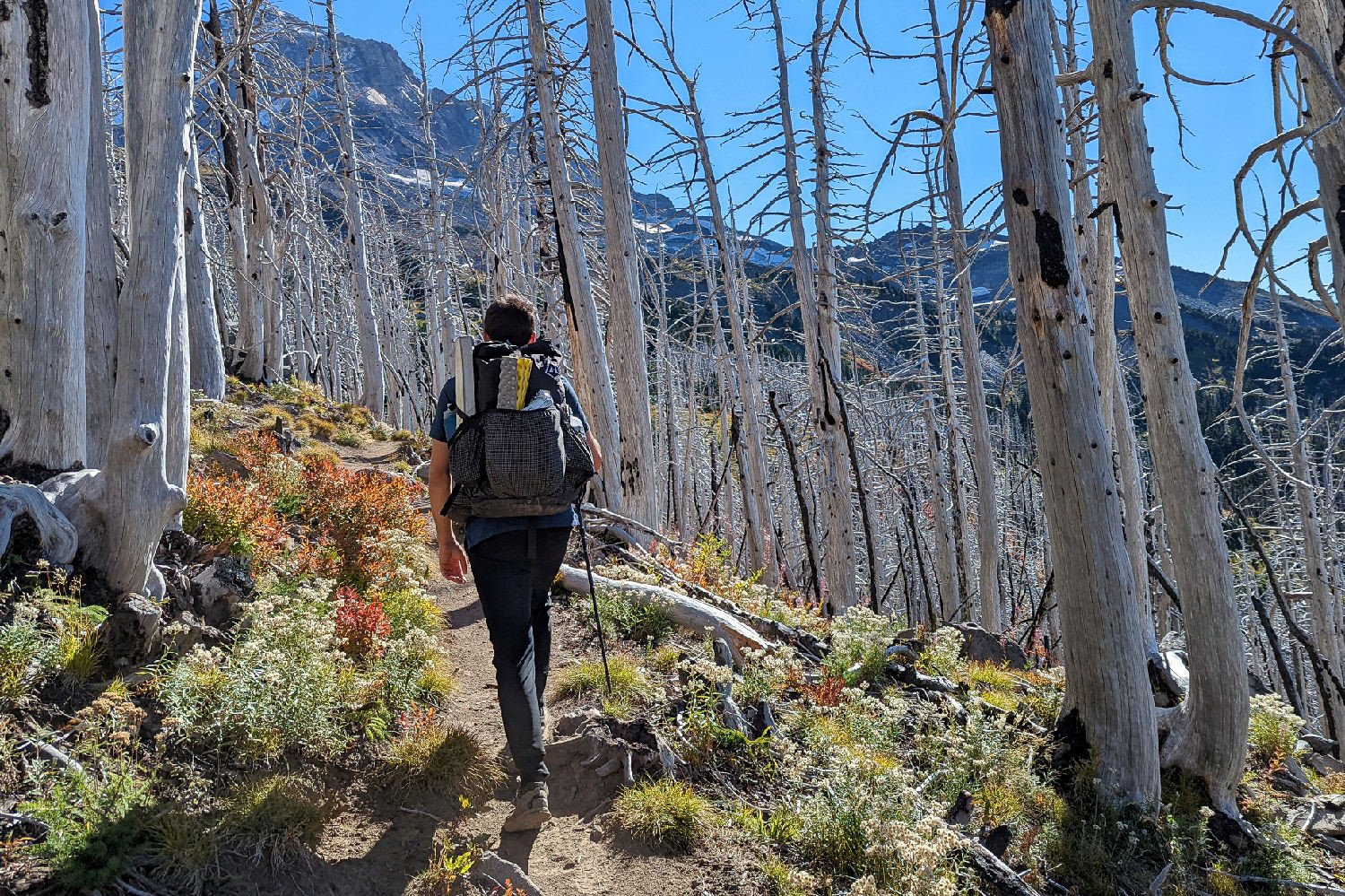 Timberline Trail Backpacking Guide (Mount Hood) | CleverHiker