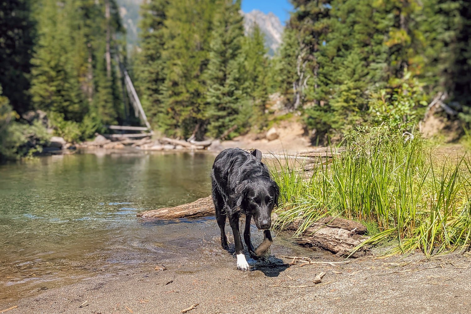Wallowa River Loop Backpacking Guide - CleverHiker
