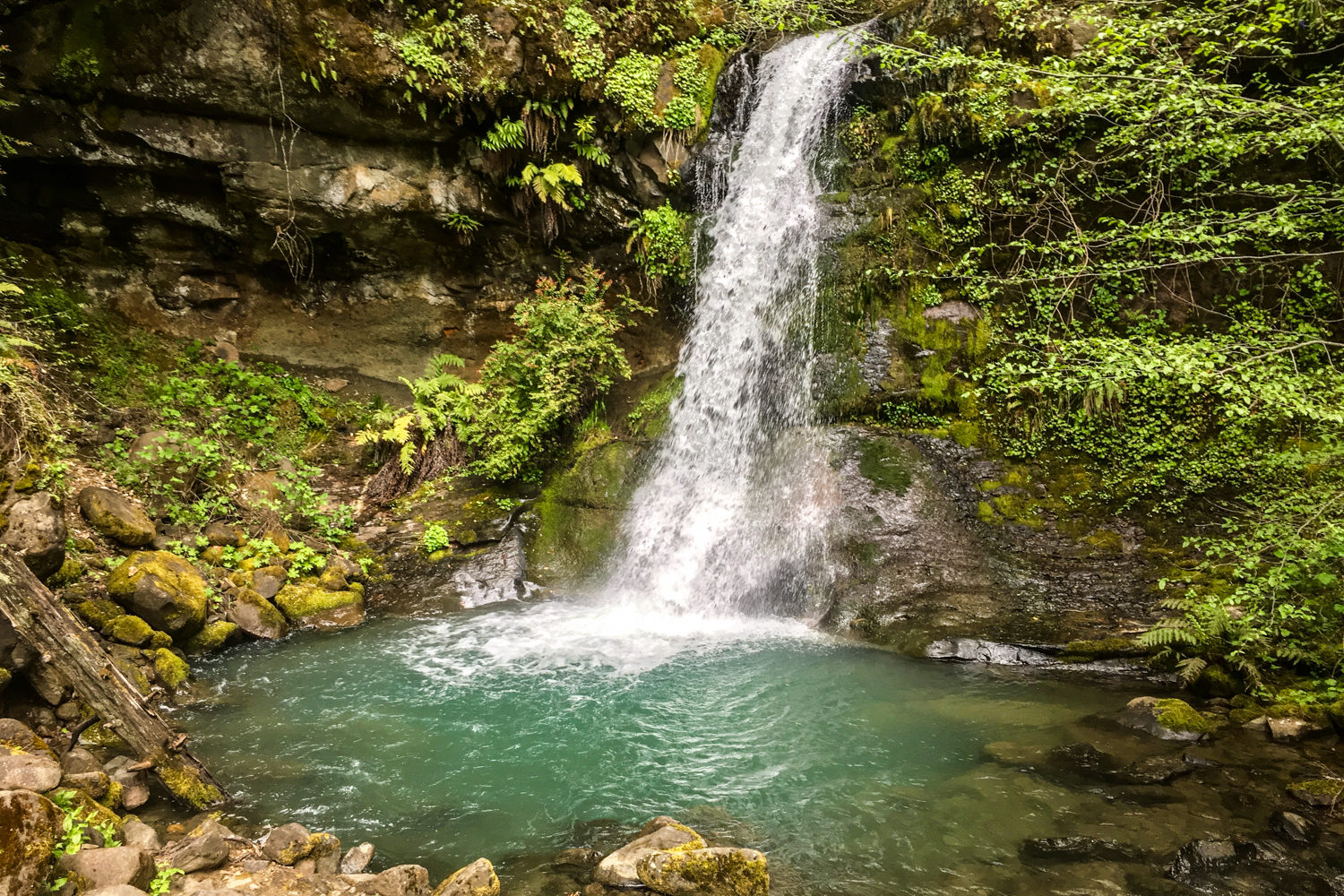 Rogue River Trail Backpacking Guide | CleverHiker