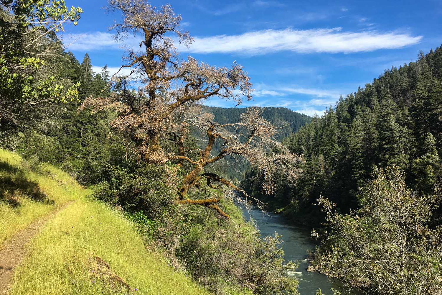 Rogue River Trail Backpacking Guide | CleverHiker