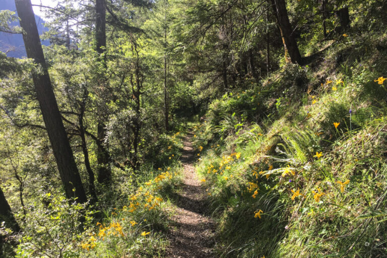 Rogue River Trail Backpacking Guide | CleverHiker