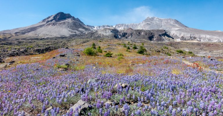Trinity Alps Wilderness Backpacking Guide | CleverHiker
