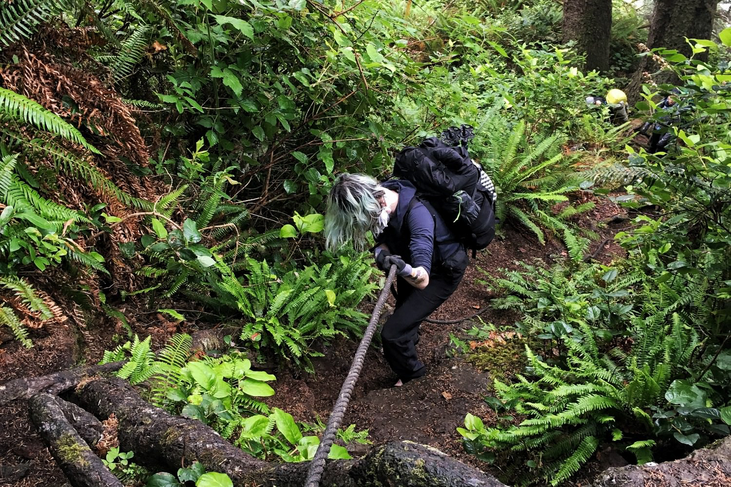 North Coast Route Backpacking Guide – Olympic National Park | CleverHiker