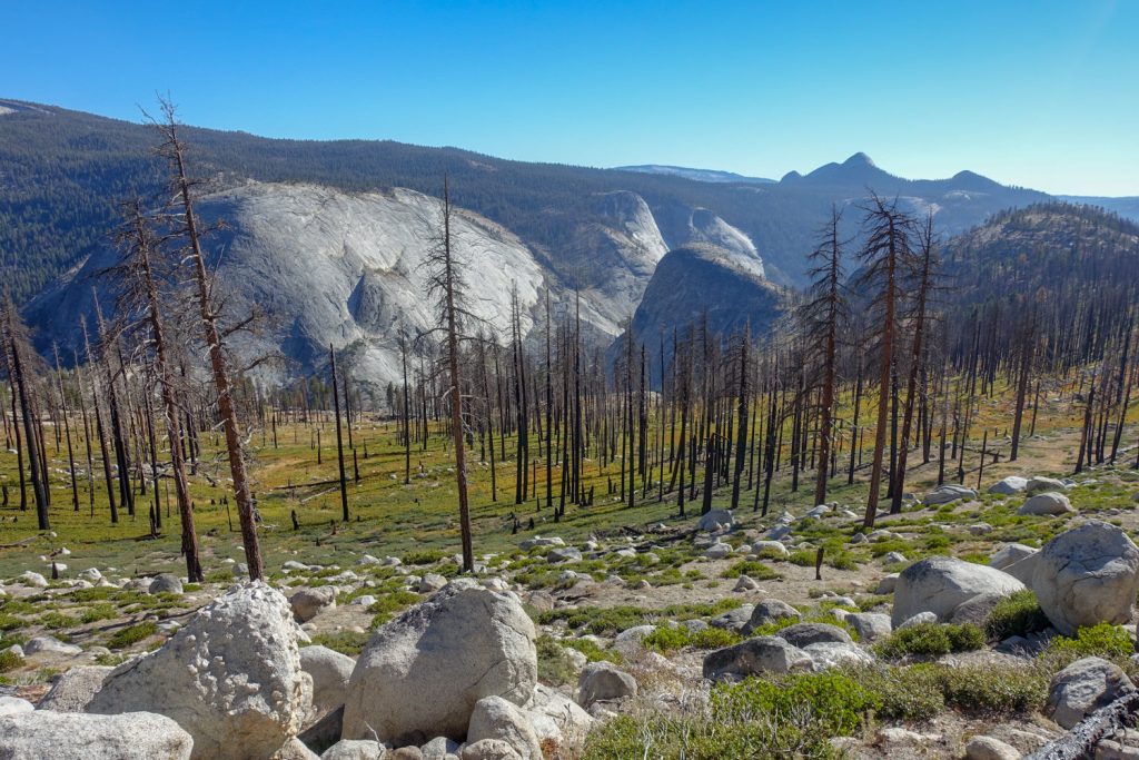 Half Dome Day Hiking Complete Guide – Yosemite National Park | CleverHiker