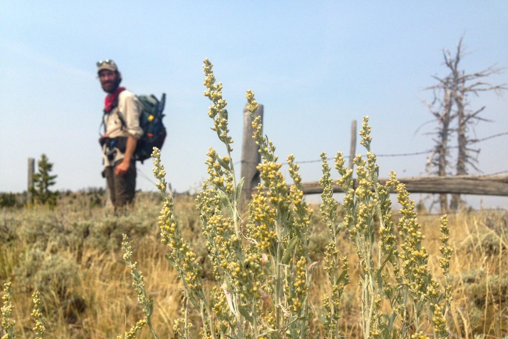 10 Tips for Capturing Great Adventure Photos | CleverHiker