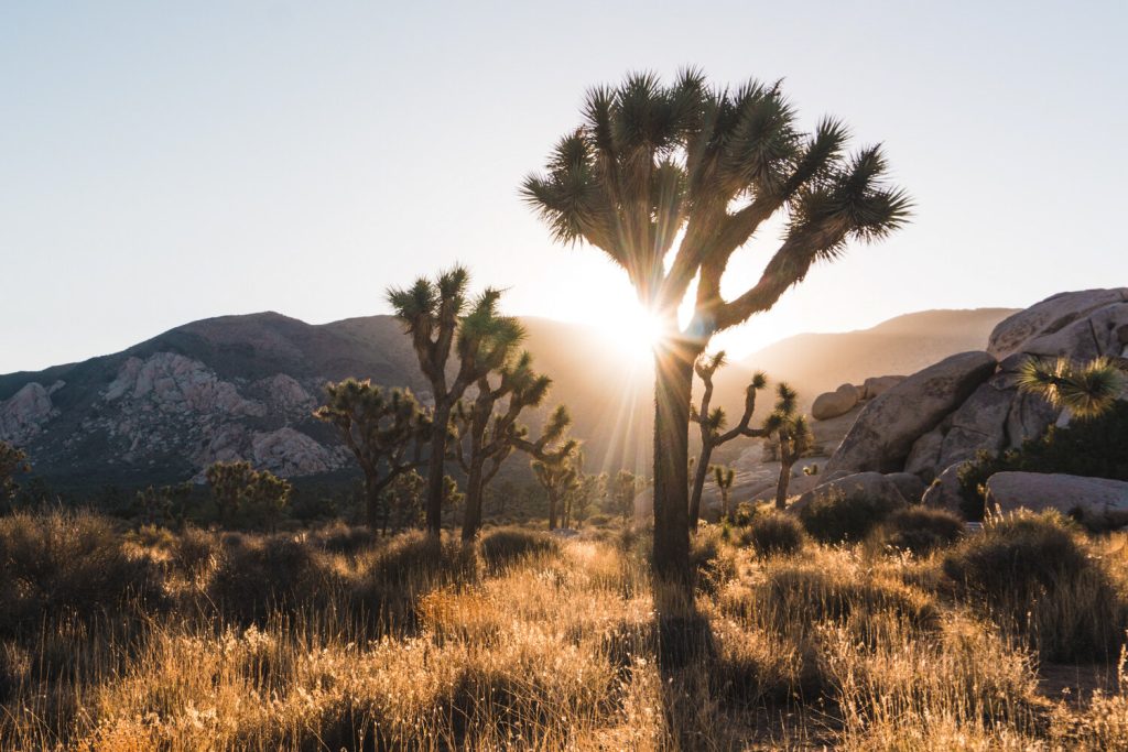 10 Tips for Capturing Great Adventure Photos | CleverHiker