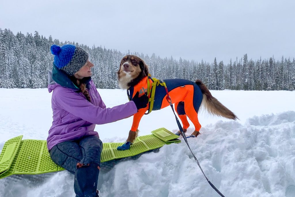 10 Tips for Hiking with Your Dog in Winter | CleverHiker