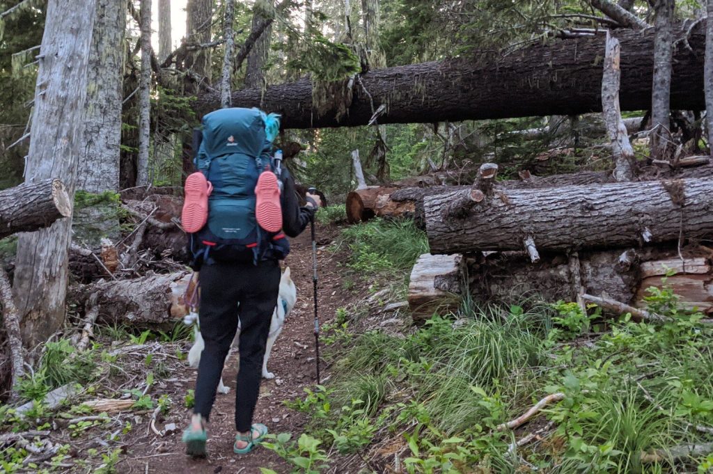 Best Camp Shoes of 2025, Tested & Reviewed | CleverHiker