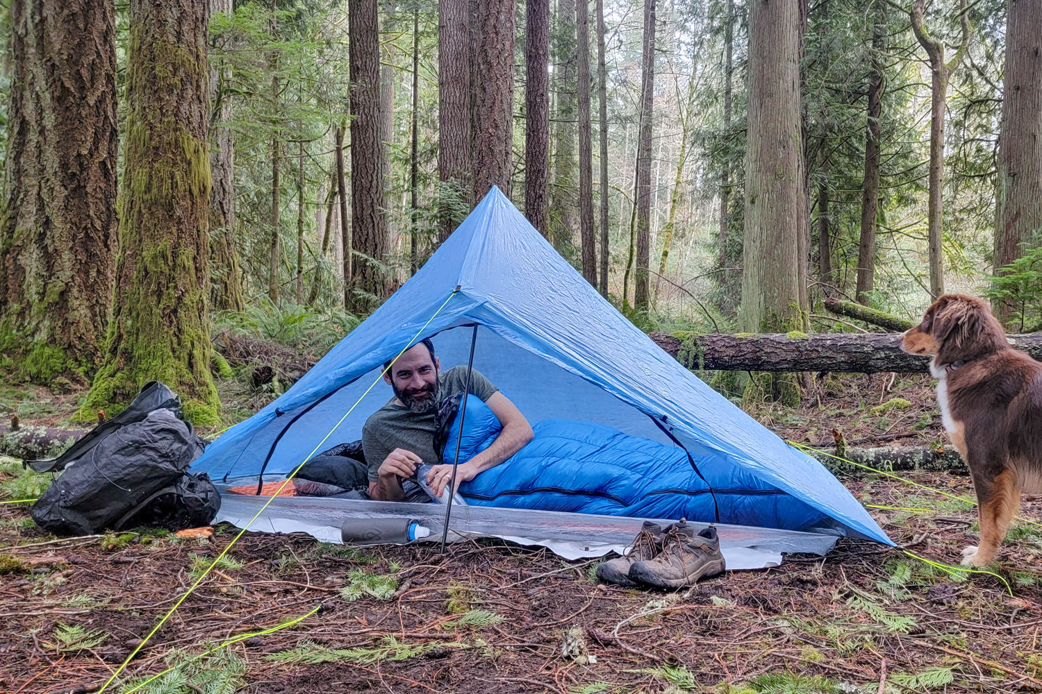 Zpacks Plex Solo Tent Review, 1000-Mile Test | CleverHiker