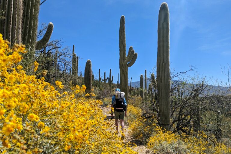 The Ultimate Guide to Hiking the Arizona Trail | CleverHiker