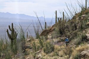 The Ultimate Guide to Hiking the Arizona Trail | CleverHiker