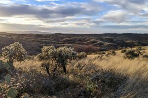 The Ultimate Guide to Hiking the Arizona Trail | CleverHiker