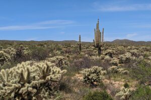The Ultimate Guide to Hiking the Arizona Trail | CleverHiker