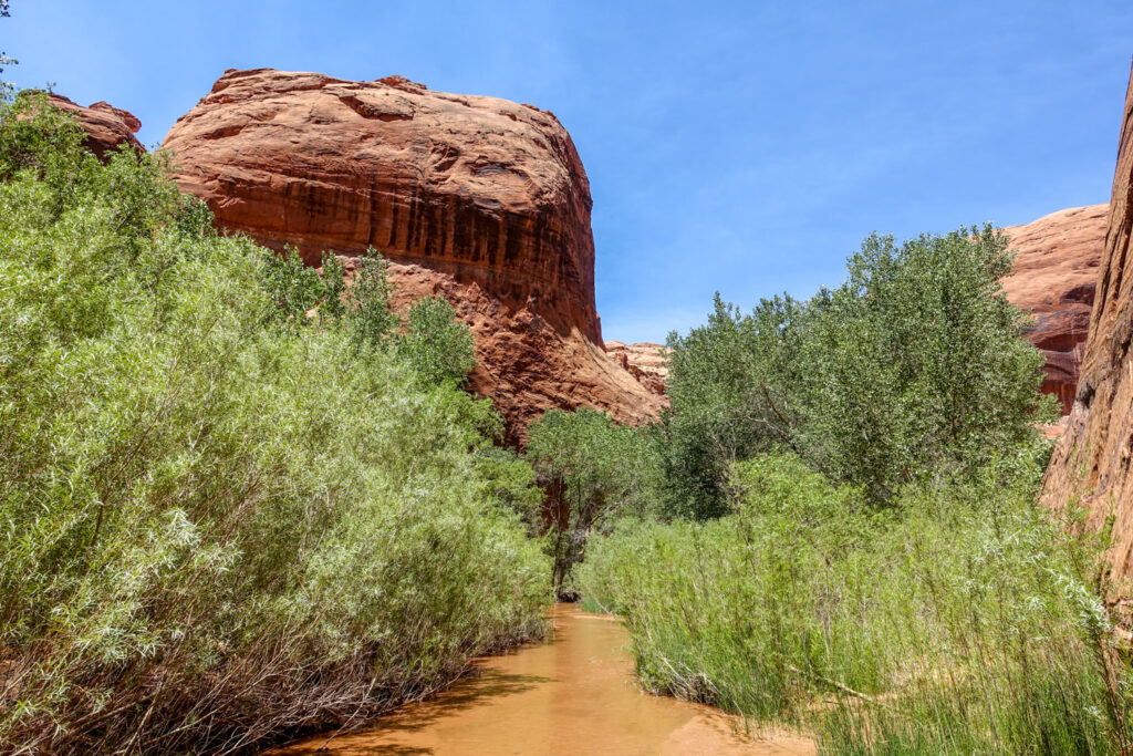 Coyote Gulch Ultimate Backpacking Guide | CleverHiker
