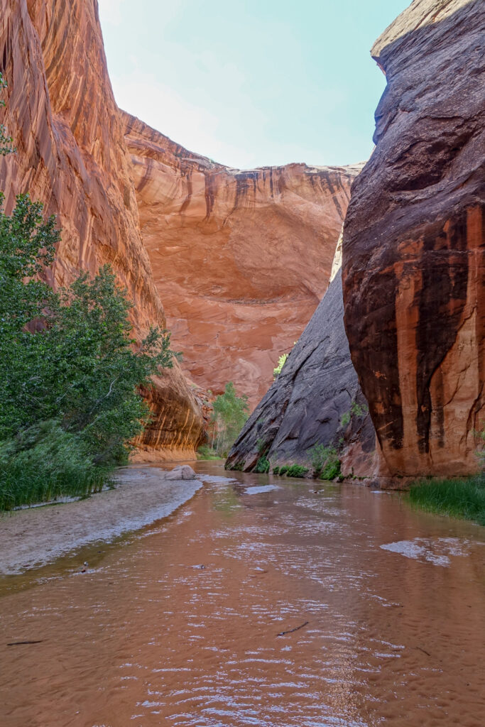 Coyote Gulch Ultimate Backpacking Guide | CleverHiker