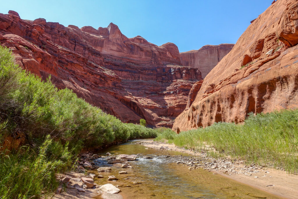 Coyote Gulch Ultimate Backpacking Guide | CleverHiker