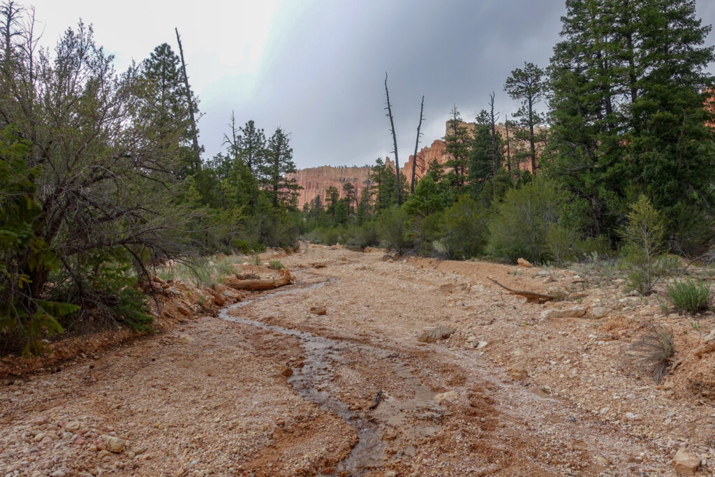 Bryce Canyon Backpacking Guide – Under the Rim Trail & Riggs Spring ...