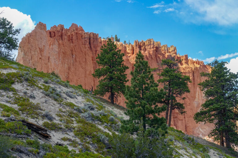 Bryce Canyon Backpacking Guide – Under the Rim Trail & Riggs Spring ...