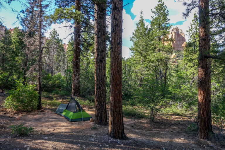 Bryce Canyon Backpacking Guide – Under the Rim Trail & Riggs Spring ...