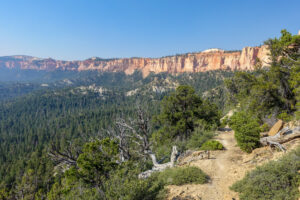 Bryce Canyon Backpacking Guide – Under the Rim Trail & Riggs Spring ...