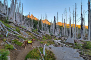 Three Fingered Jack Loop Backpacking Guide | CleverHiker