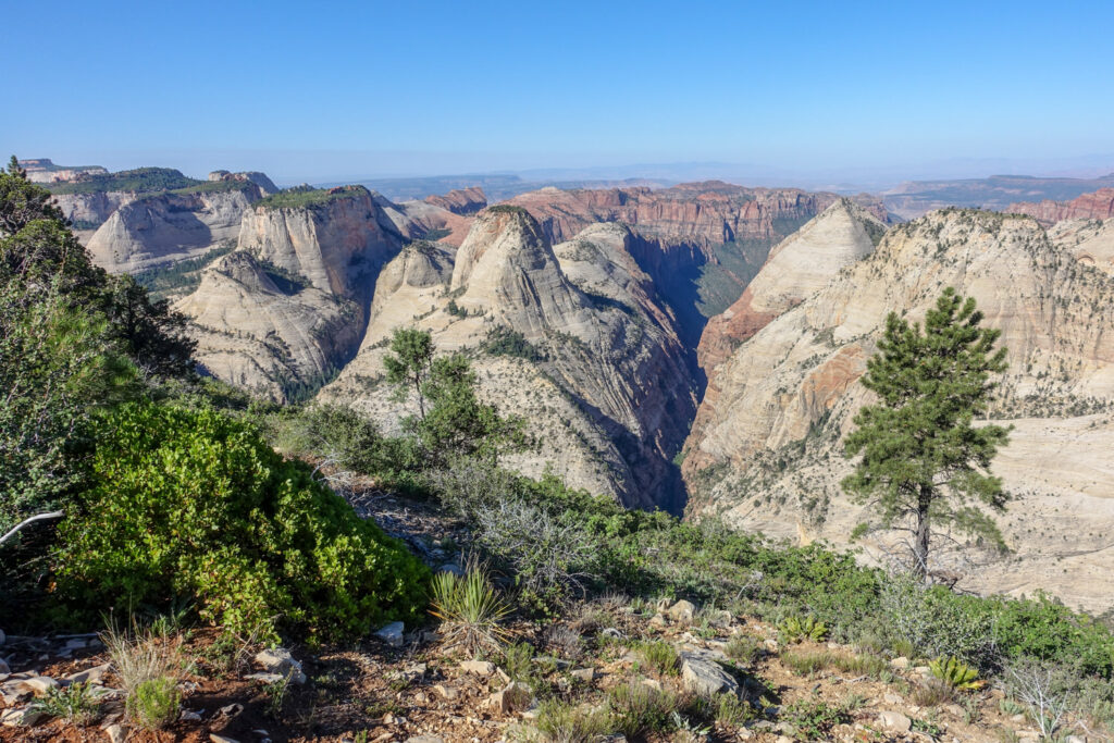 Zion Traverse Backpacking Guide | CleverHiker