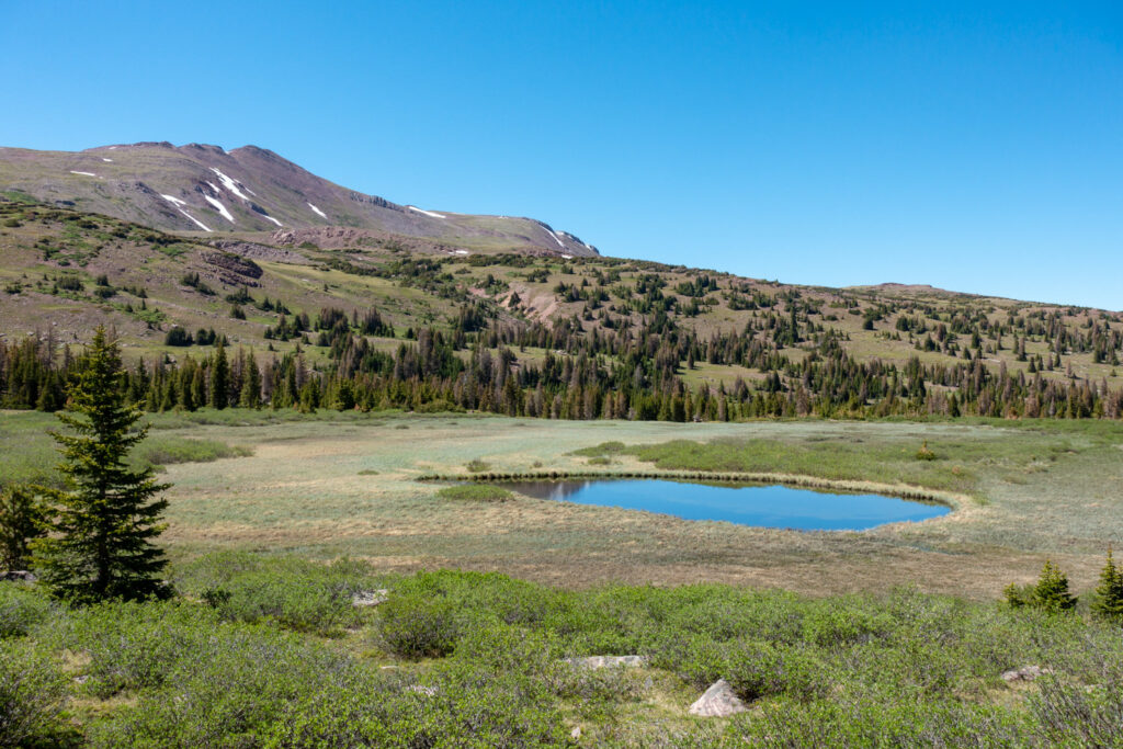 Red Castle Lakes Backpacking Guide – High Uintas | CleverHiker