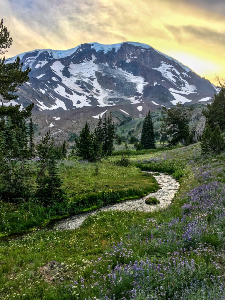Mount Adams Backpacking Guide | CleverHiker