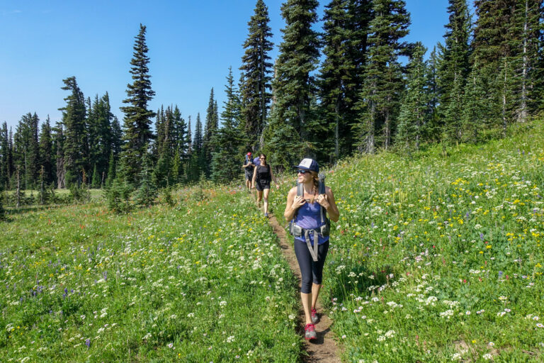 Mount Adams Backpacking Guide | CleverHiker