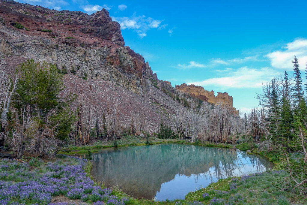 Mount Adams Backpacking Guide | CleverHiker