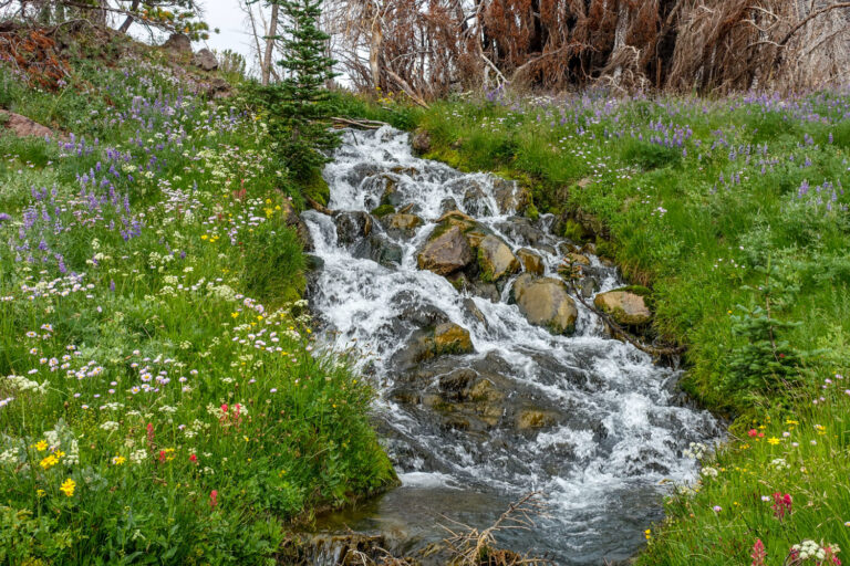 Mount Adams Backpacking Guide | CleverHiker