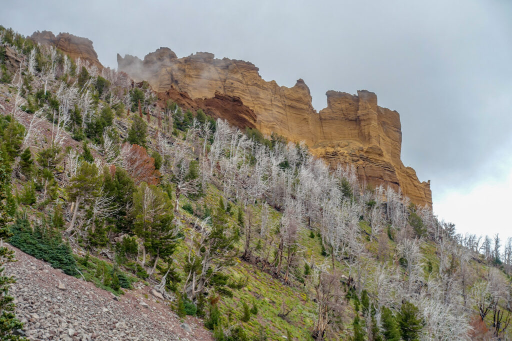 Mount Adams Backpacking Guide | CleverHiker