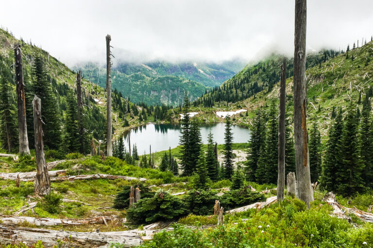 Mount Margaret Backpacking Guide, Mount St. Helens | CleverHiker