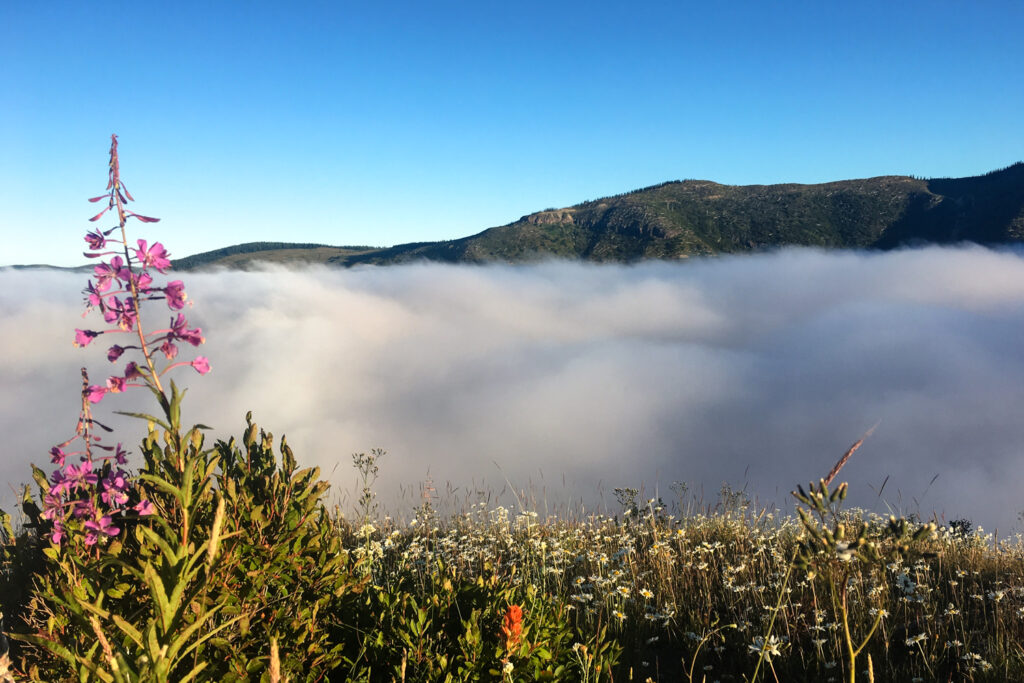 Mount Margaret Backpacking Guide, Mount St. Helens | CleverHiker