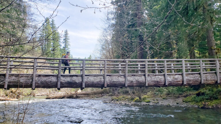 McKenzie River Trail Backpacking Guide | CleverHiker