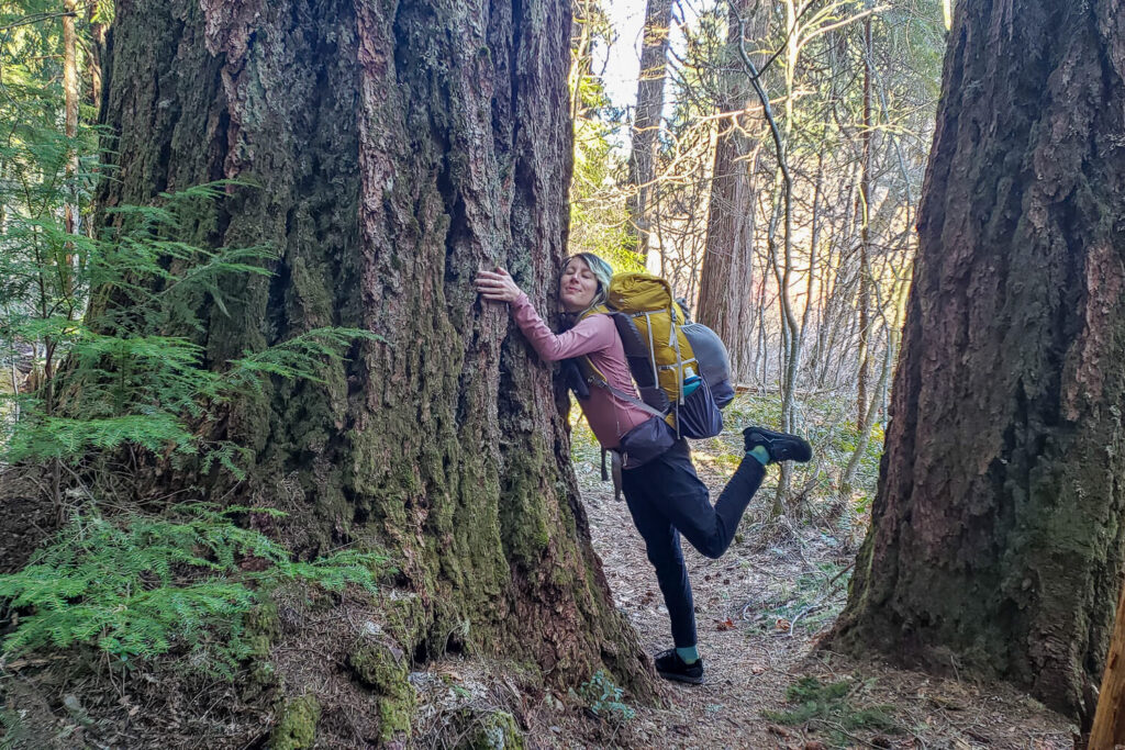 McKenzie River Trail Backpacking Guide | CleverHiker