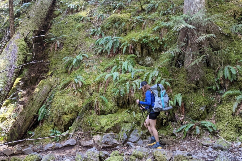 McKenzie River Trail Backpacking Guide | CleverHiker