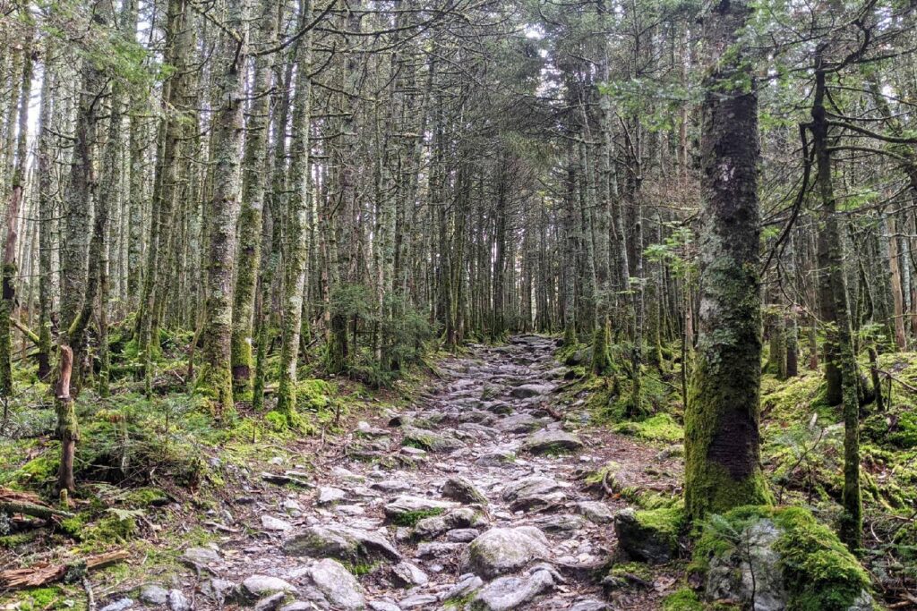 The Ultimate Guide to Vermont’s Long Trail | CleverHiker