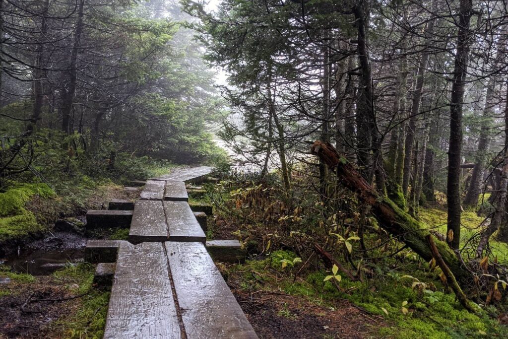 The Ultimate Guide to Vermont’s Long Trail | CleverHiker