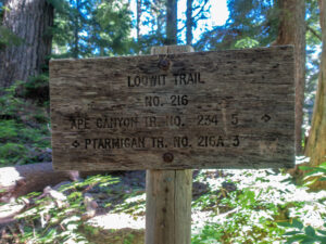 Loowit Trail Loop – Mount St. Helens Backpacking Guide | CleverHiker