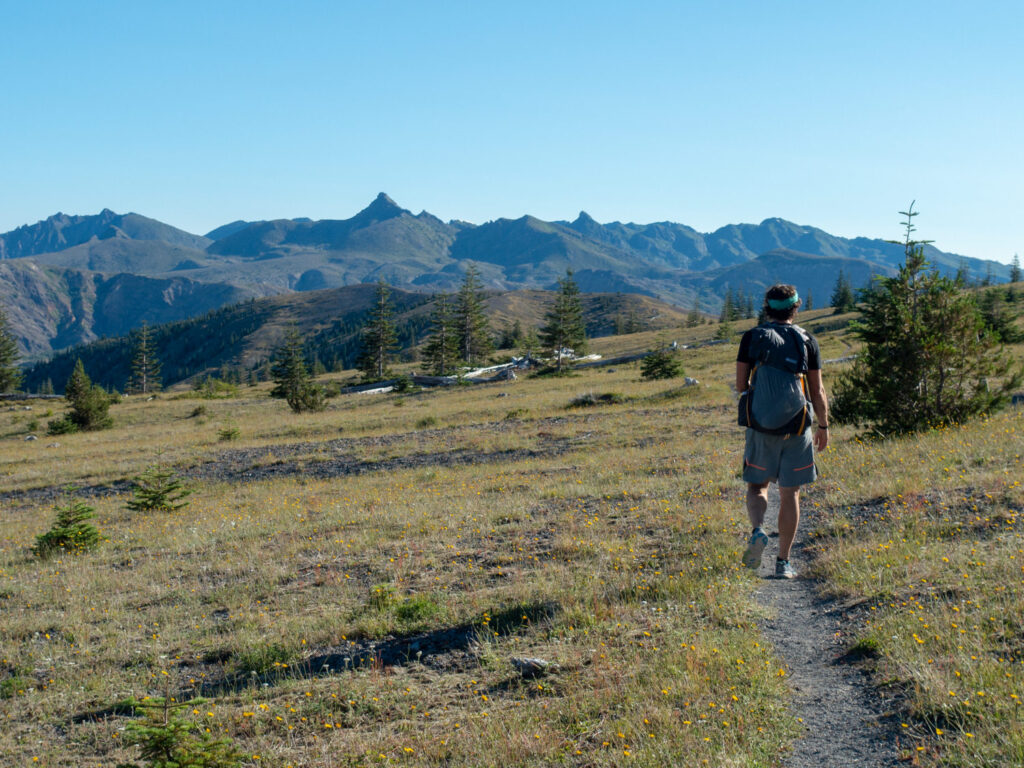 Loowit Trail Loop – Mount St. Helens Backpacking Guide | CleverHiker