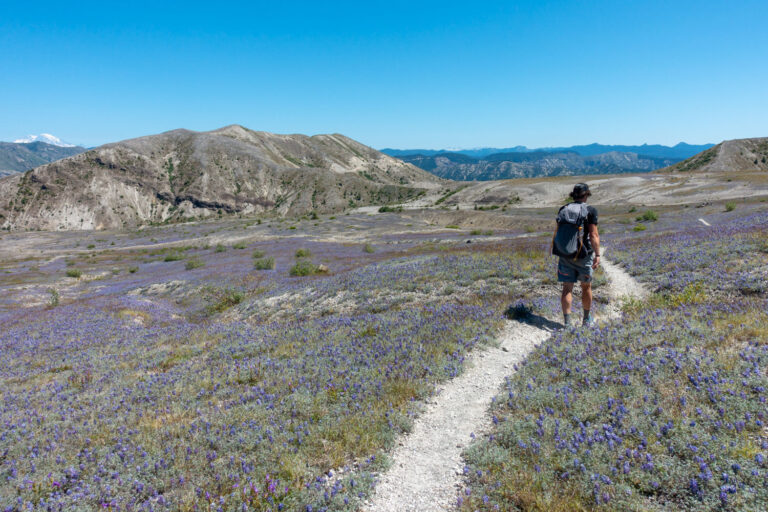 Loowit Trail Loop – Mount St. Helens Backpacking Guide | CleverHiker