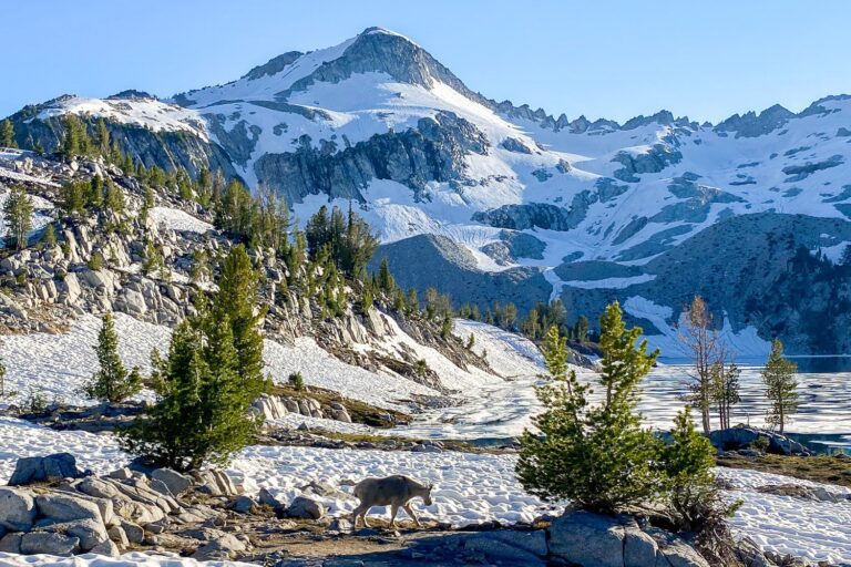 Backpacking the Wallowa River Loop in the Eagle Cap Wilderness ...
