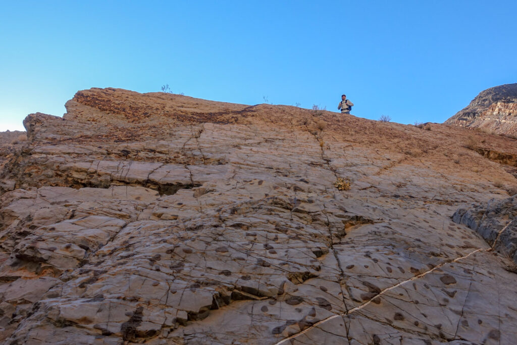 Cottonwood-Marble Canyon Loop Backpacking Guide – Death Valley NP ...
