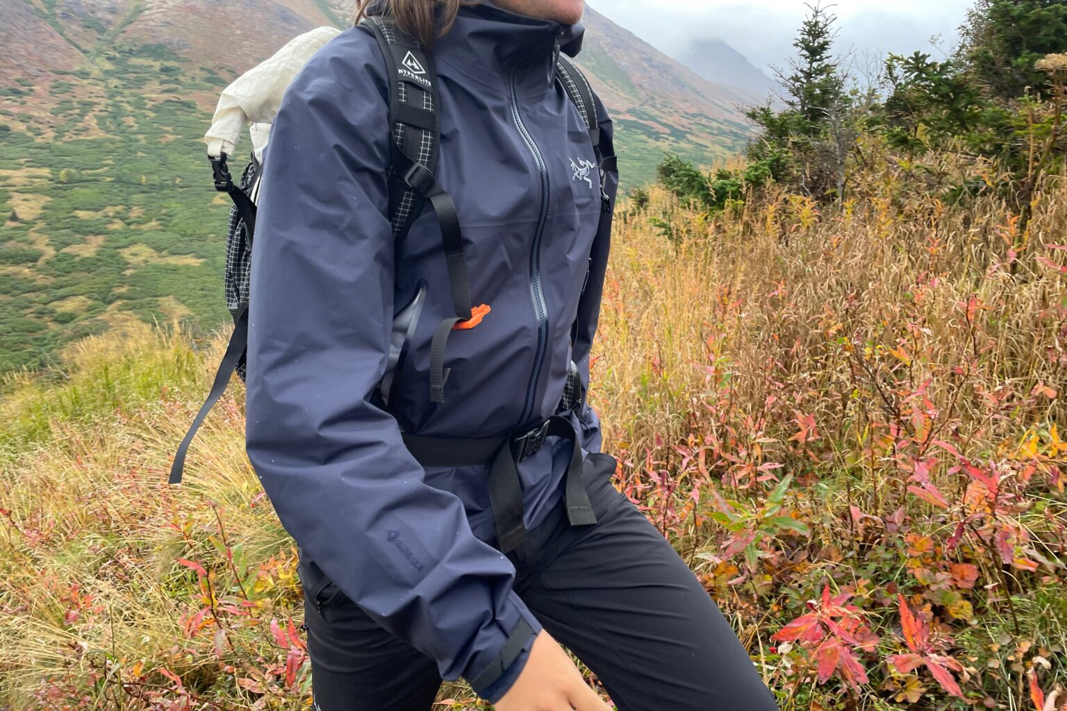 Arc'Teryx Beta Rain Jacket Review | CleverHiker