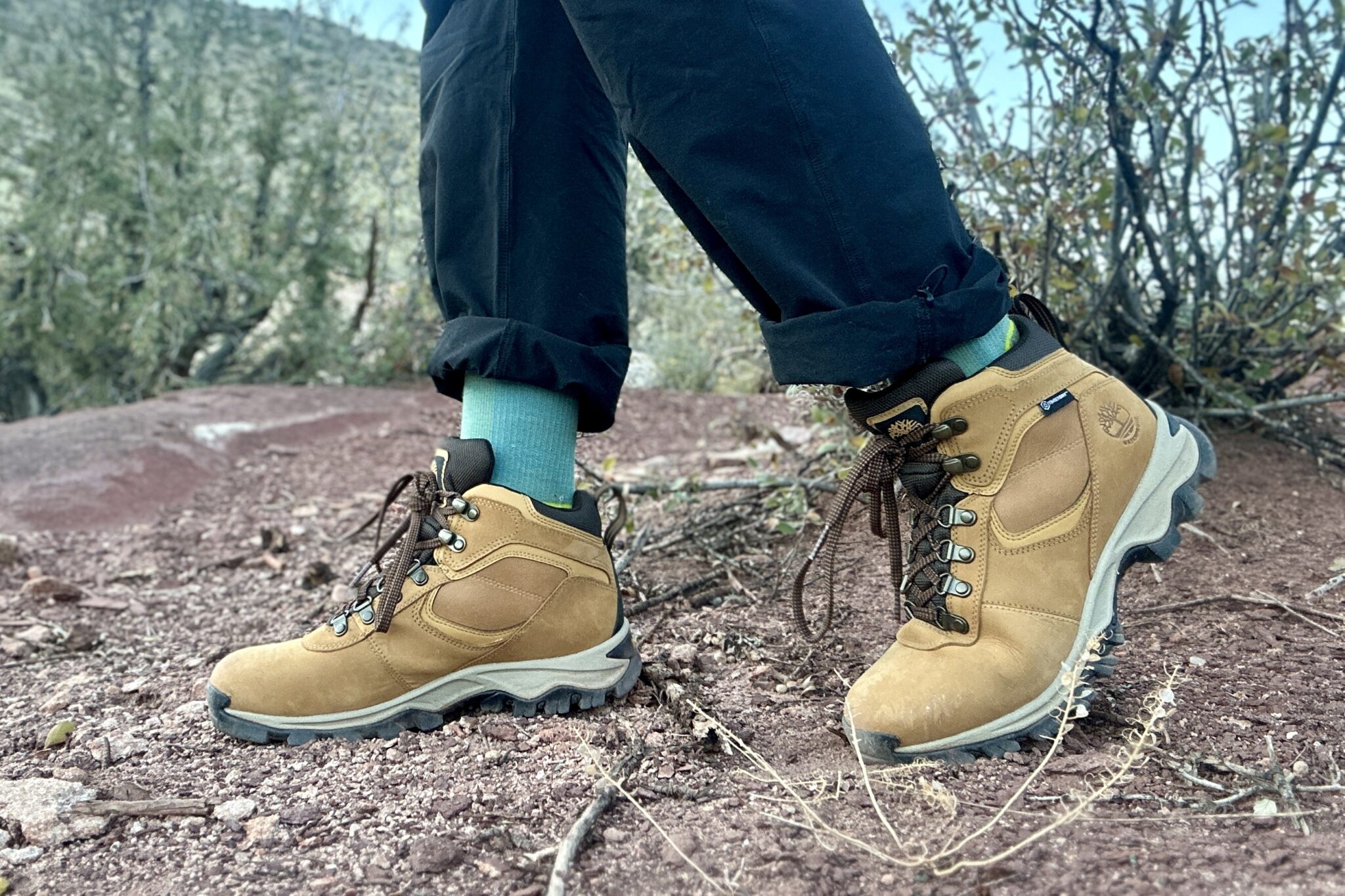 Men's Timberland Mt Maddsen WP Hiking Boot Review | CleverHiker