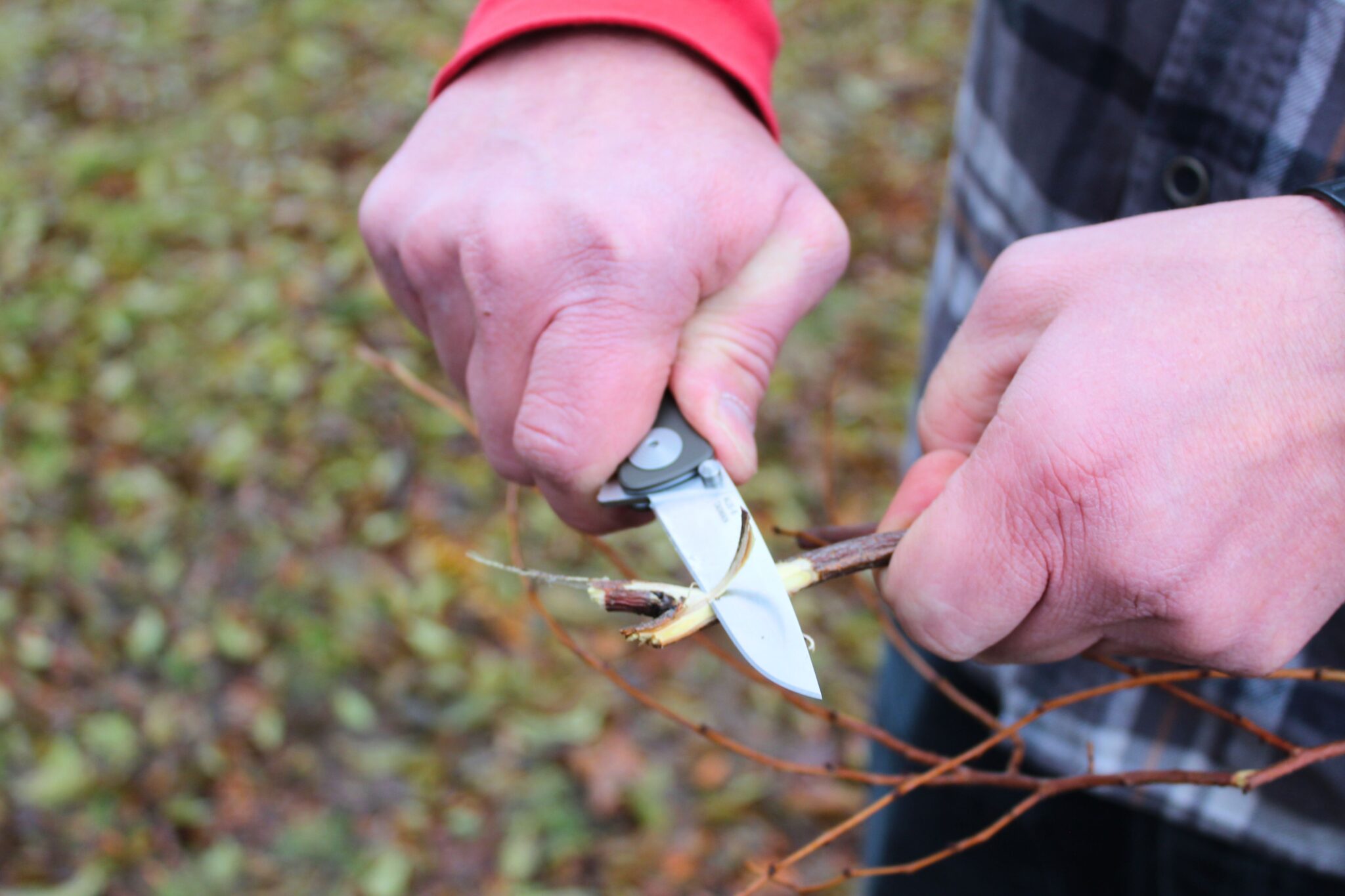 SOG Twitch II Pocket Knife Review | CleverHiker