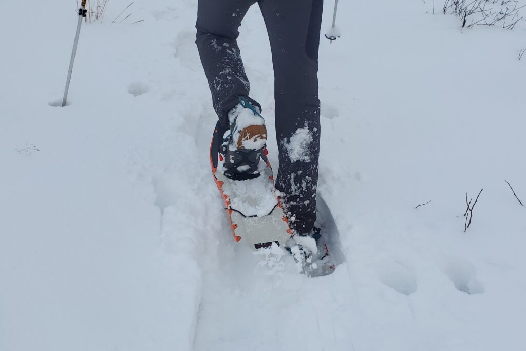Best Snowshoes of 2026, Tested & Reviewed | CleverHiker